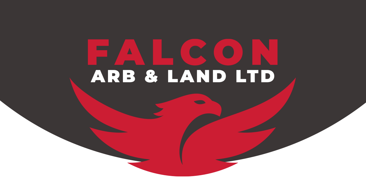 Contact Falcon Arb & Land | Tree Surgeons Essex - East Anglia